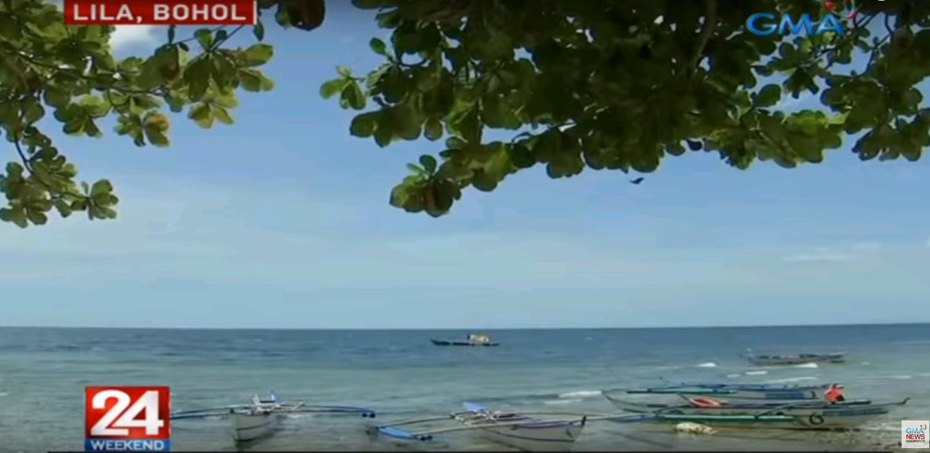 Bohol town bans tourists who had recently come from China | GMA News Online