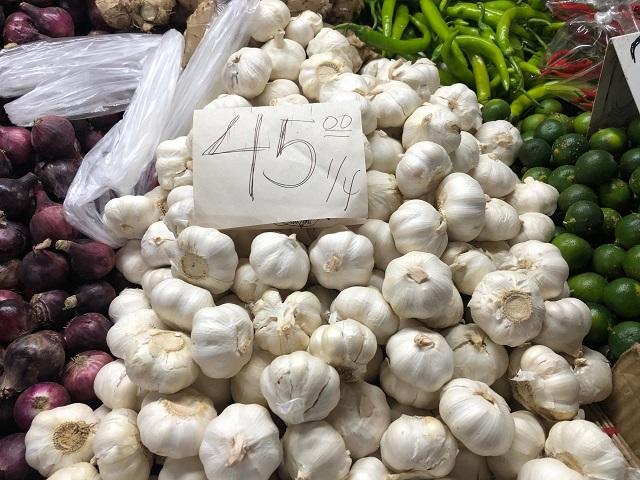 Robredo in Naga for mother's wake | Photos | GMA News Online