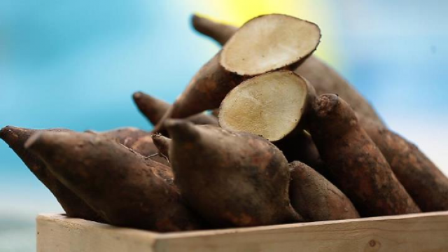 Pagre-recycle ng lumang magazines, ibabahagi sa 'Good News'! | GMA News ...