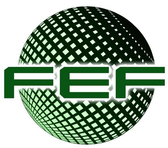 FEF calls for relaxation of 'restrictive' economic provisions in 1987 ...