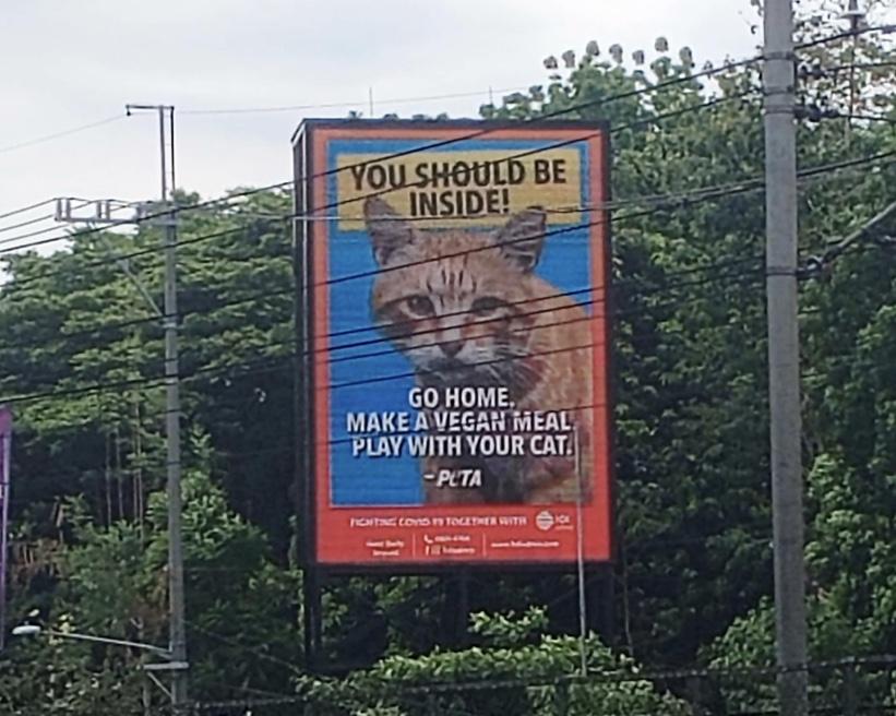 These PETA billboards remind pet owners to stay home and spend time ...