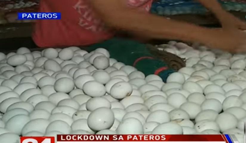 300 itlog na gagawing balut, napisa at naging sisiw dahil sa ECQ ...