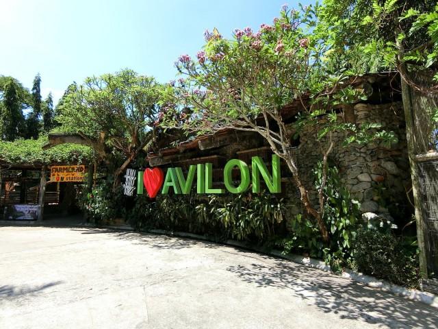 Rizal's Avilon Zoo needs your help to keep feeding its animals during ...