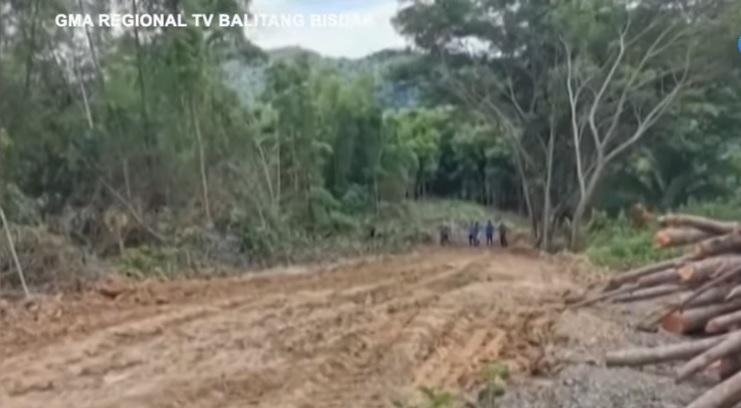 DENR 7 says it did not issue permit for tree-cutting in Cebu City’s ...