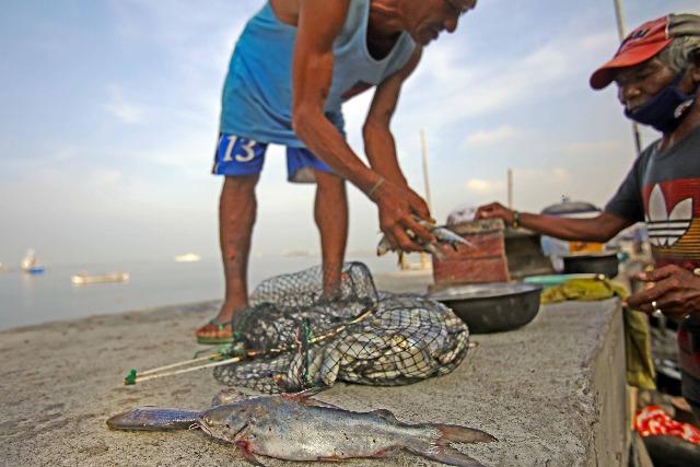 Fishermen show the day's catch from Manila Bay | Photos | GMA News Online