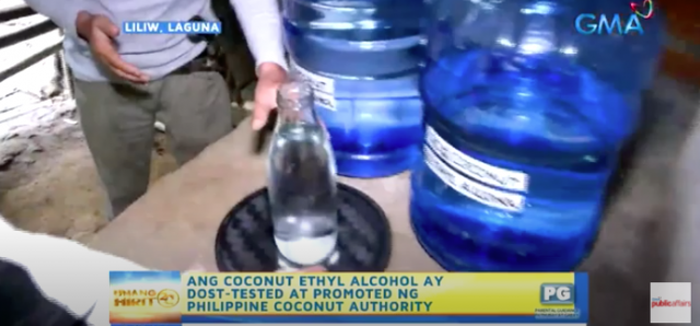 A coconut farm in Liliw, Laguna has turned lambanog into ethyl alcohol