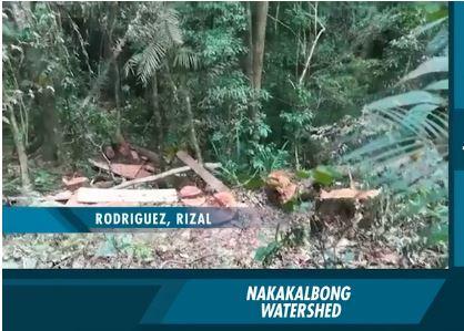 Deforestation at Ipo Dam watershed continues | GMA News Online
