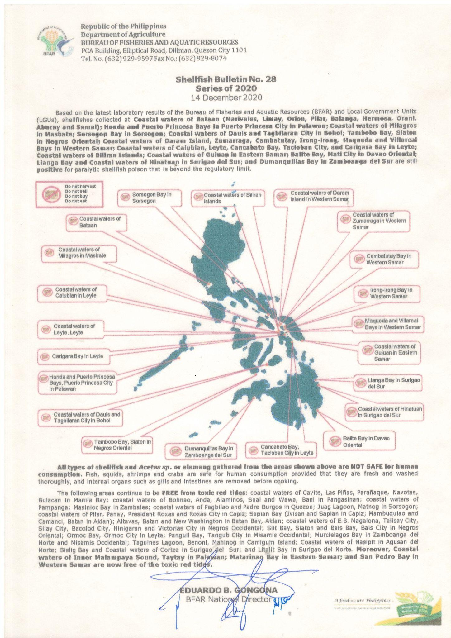 BFAR: 21 areas positive for shellfish poison | GMA News Online
