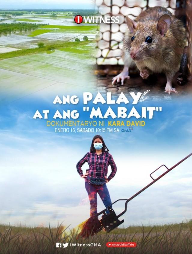 'Ang Palay at ang Mabait', dokumentaryo ni Kara David, ngayong Sabado ...