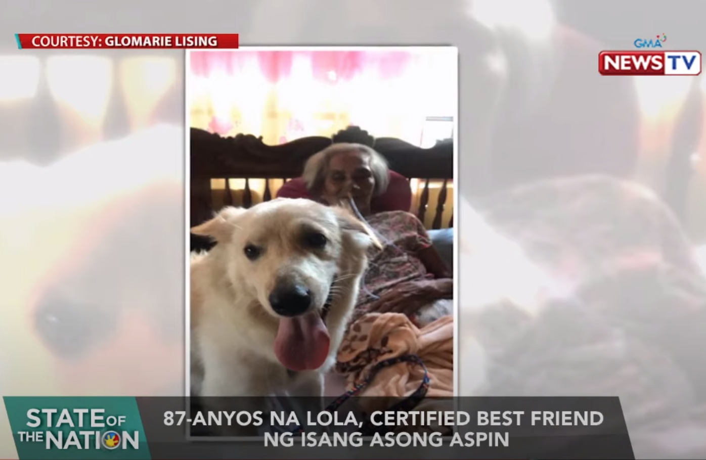 Year-old dog, Kobe, remains Lola's 'best friend' | GMA News Online