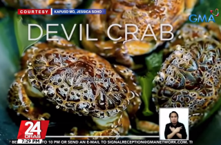 POISONOUS_CRAB | Tracking | GMA News Online
