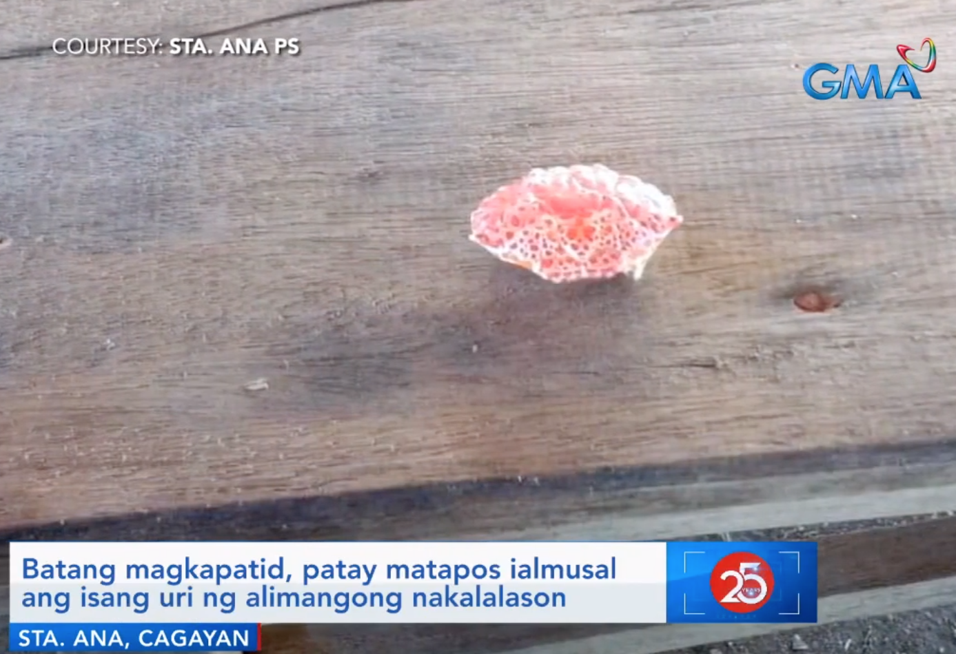 2 children die after eating poisonous crab in Cagayan | GMA News Online