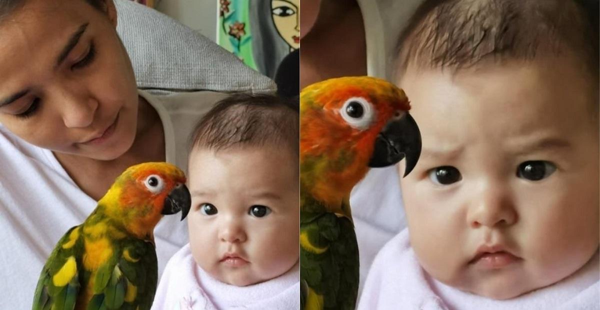 Baby Fiore has the cutest confused face as Alessandra de Rossi ...
