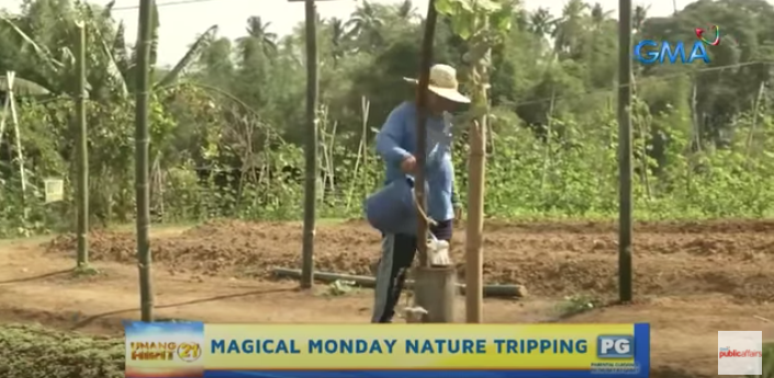 Craving the farm life? This eco-resort in Cavite is a short drive from ...