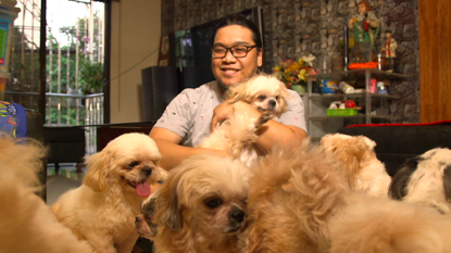 5 reasons to watch 'AHA!' this Sunday │ GMA News Online