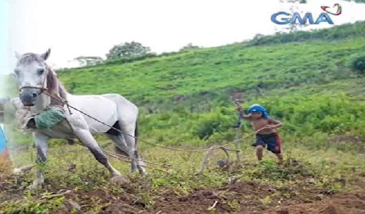 10-anyos na lalaki, nag-aararo para tulungan ang lola't lola na nag-aalaga sa kaniya | Balitambayan