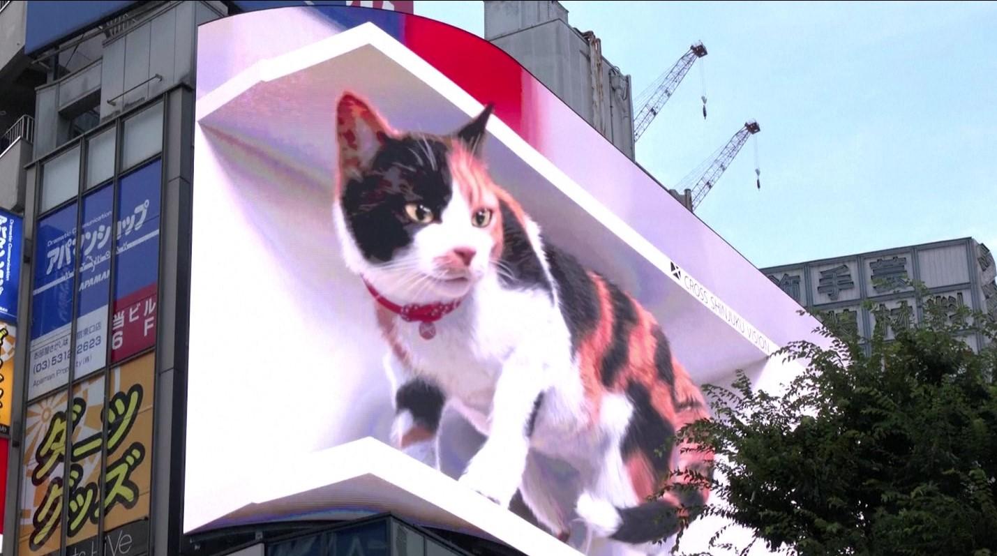 Giant 3D cat greets pedestrians from building in Shinjuku, Japan | GMA ...