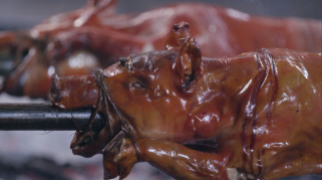 Tracking | GMA News Online