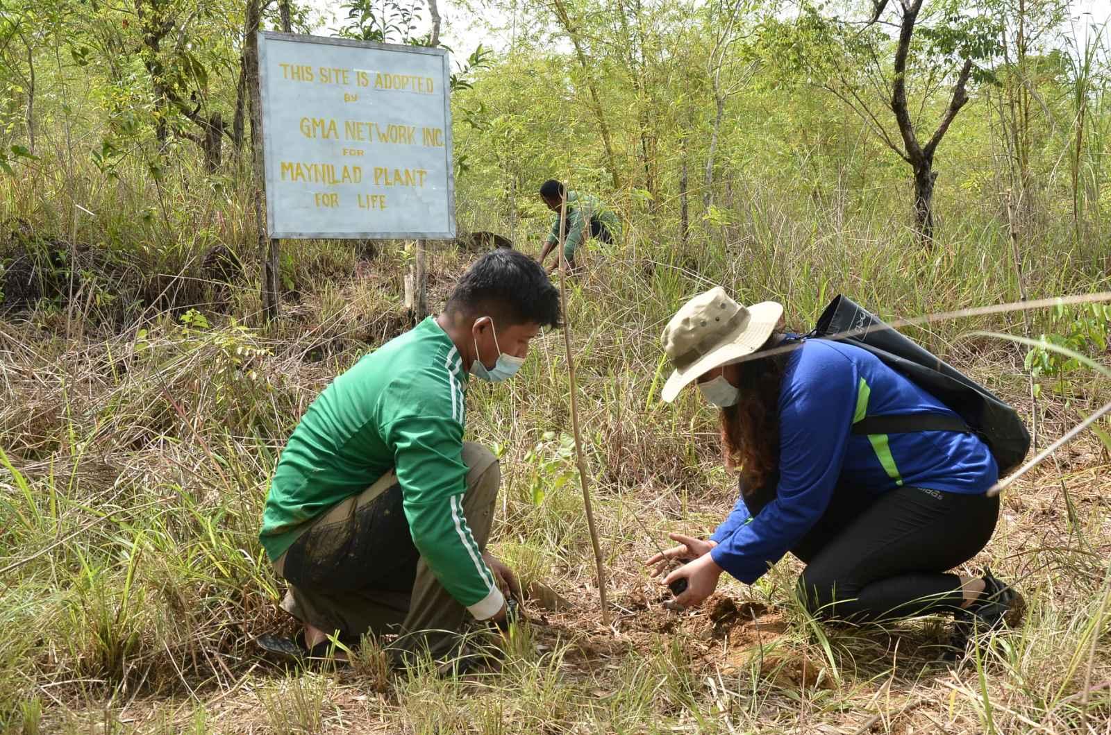 GMA Network adopts one hectare of Maynilad’s tree planting site | GMA ...