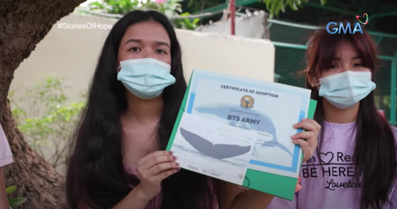 Filipino BTS Army adopts 8 whales in Babuyan Marine Corridor, names 7 ...