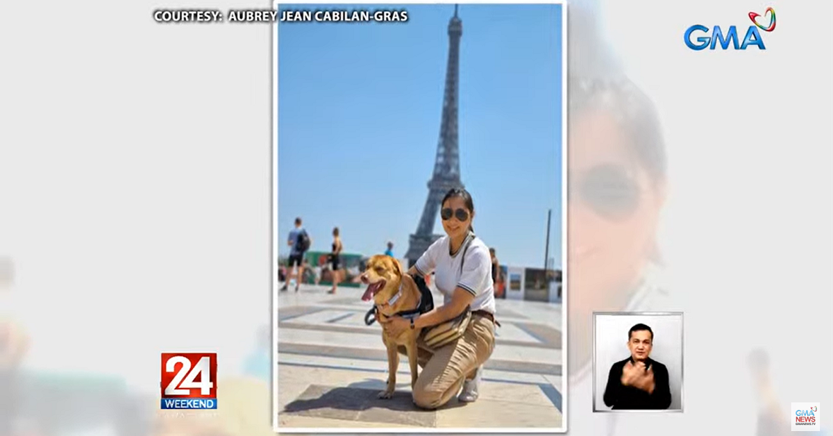 Aspin migrates from Philippines to France to reunite with fur mom | GMA ...