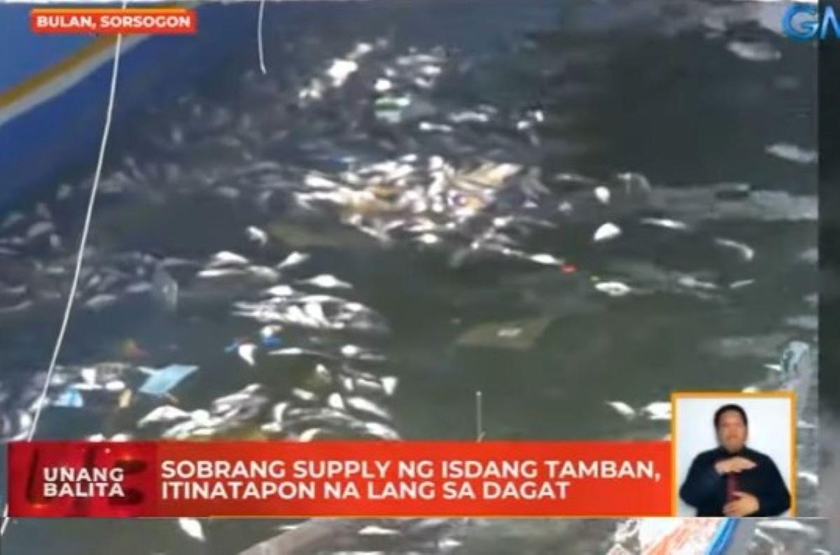Mga huling isda sa Sorsogon, itinatapon sa dagat dahil sa oversupply ...