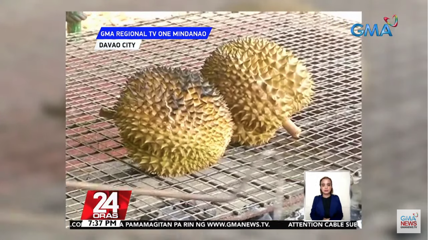 Grilled and odorless durian, anyone? | GMA News Online