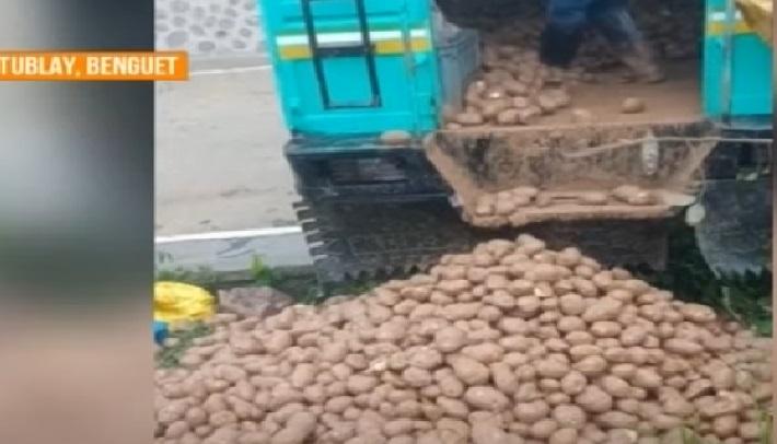 Ilang gulay na 'di nabibili at madaling mabulok dahil sa pag-ulan sa Benguet, itinatapon na lang ...