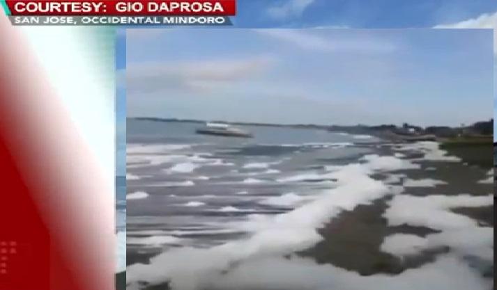 Isang uri ng isda, posibleng dahilan daw ng paglitaw ng mga bula sa ...