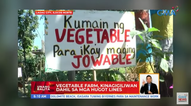 This vegetable farm in Ilocos Norte is also rich source of ‘hugot’ and ...