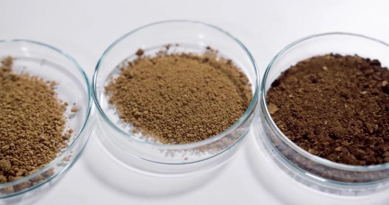 Finnish scientists create ‘sustainable’ lab-grown coffee | GMA News Online