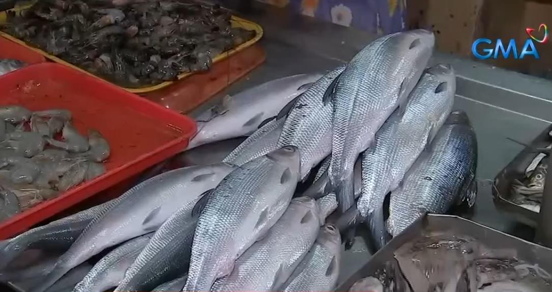 Rising oil prices affect fish prices as fishermen appeal for fuel ...