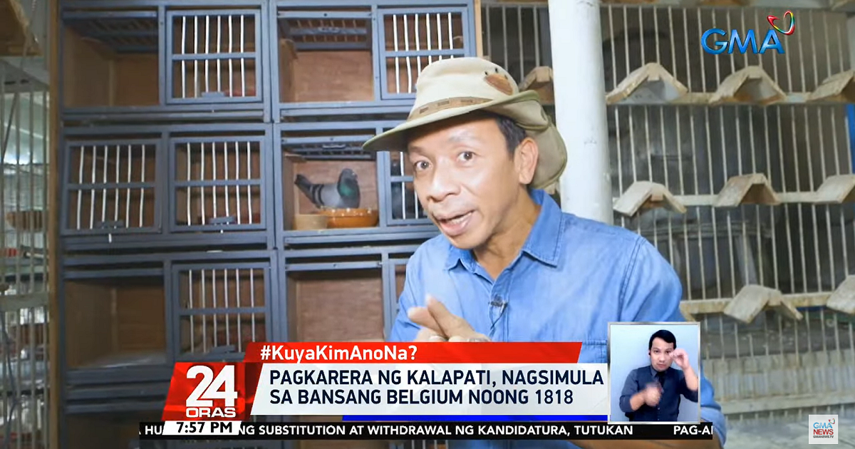 How do trainers get pigeons to race? Kuya Kim explains | GMA News Online