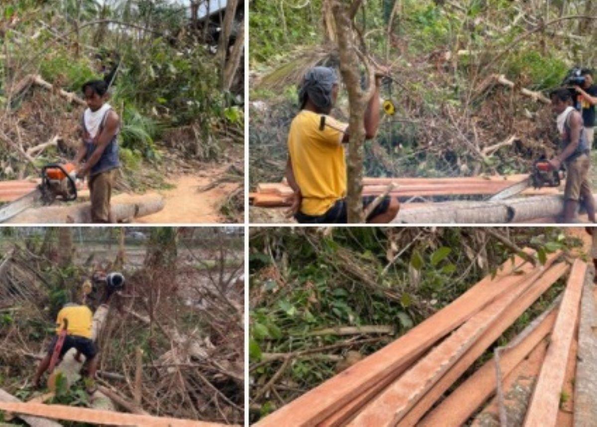 Odette survivors use fallen coconut trees for housing materials | GMA ...