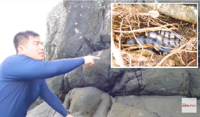 Isla na 'Batong Dako' sa Southern Leyte, pinamumugaran ng mga ahas ...