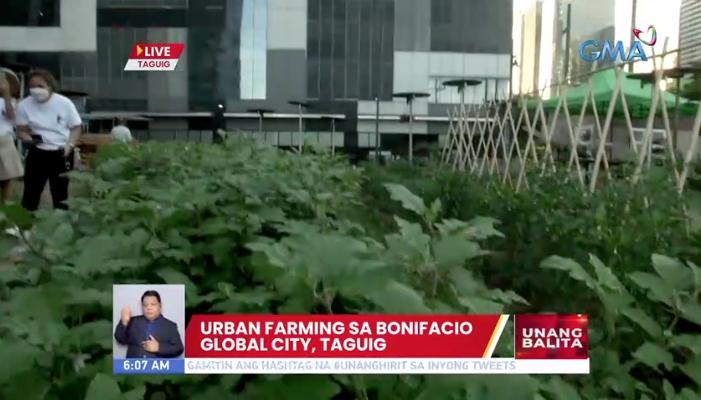 This urban farm in BGC aims to promote community gardening and local ...