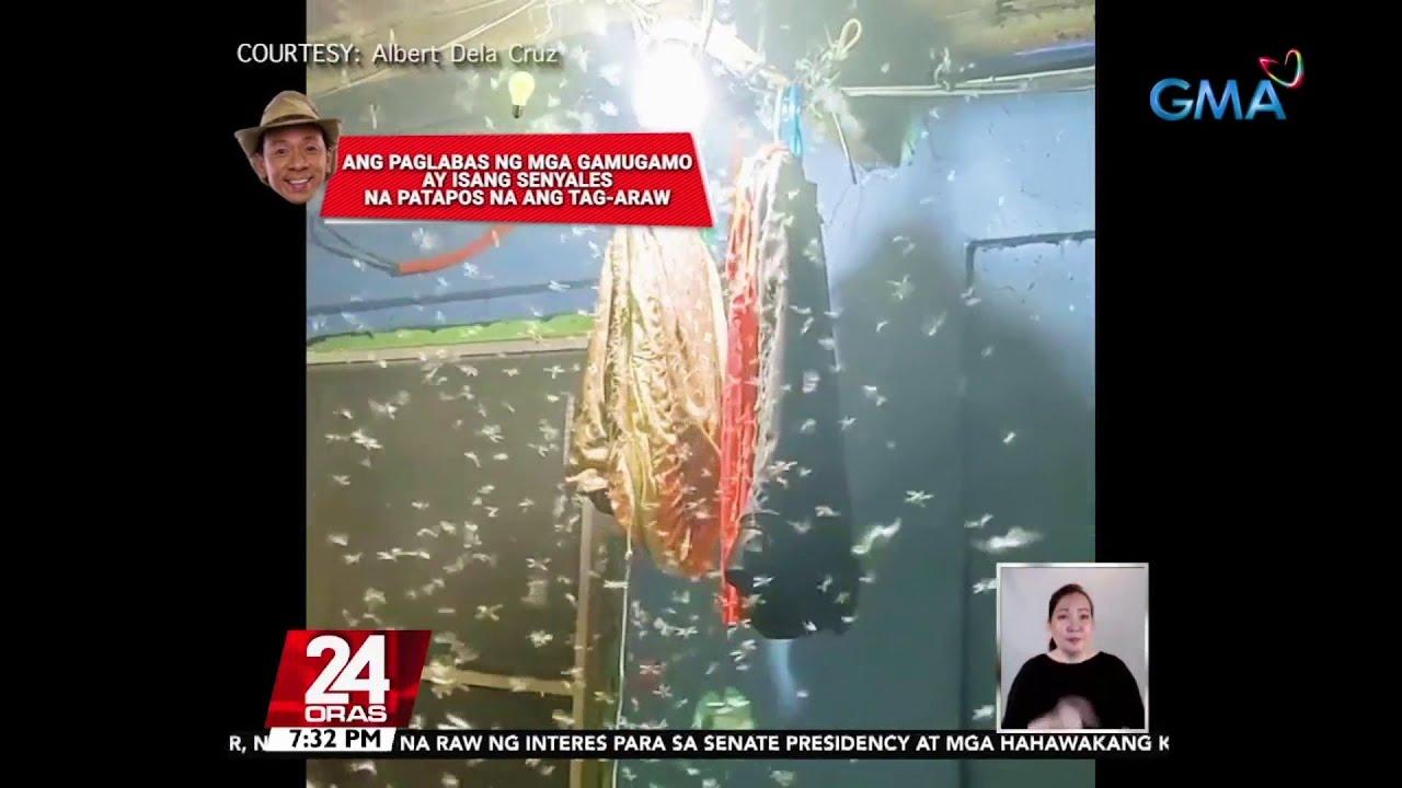 How to get rid of gamu-gamo? Kuya Kim shares tips | GMA News Online
