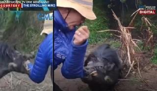 BABOY_RAMO | Tracking | GMA News Online