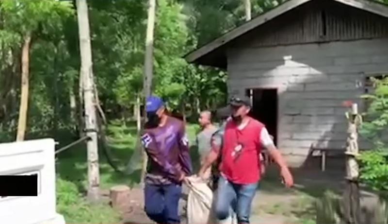 Hogs culled in General Santos to prevent spread of ASF | GMA News Online