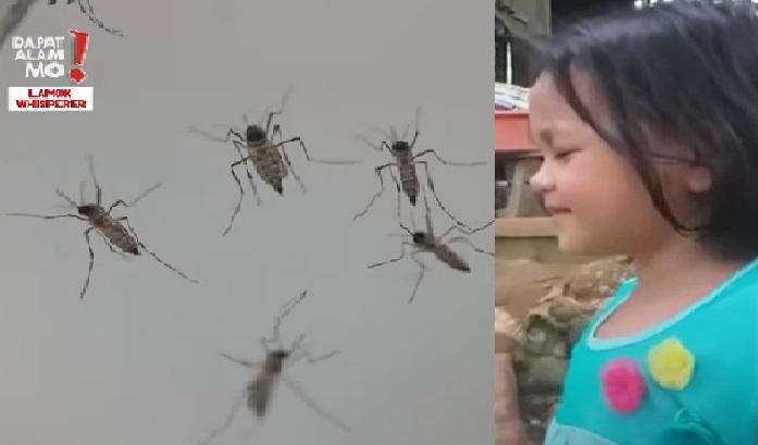 Mga lamok, puwede nga bang tawagin sa pamamagitan ng tunog? | Balitambayan