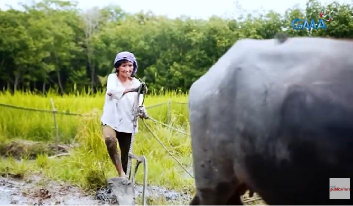 73-anyos na lola, kayod-kalabaw pa rin sa bukid para sa kaniyang mga ...