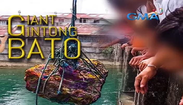 Malaking tipak na bato sa ilog, mayroon nga bang ginto? | Balitambayan Malaking tipak na bato sa ilog, mayroon nga bang ginto? | Balitambayan
