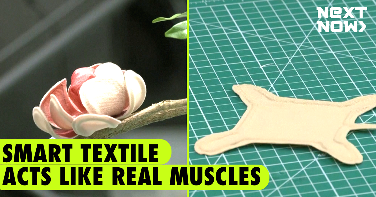 Engineers develop 'smart textile' that can change shape, lift objects ...