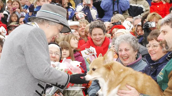 Dogs Save The Queen: the monarch and her corgis | GMA News Online