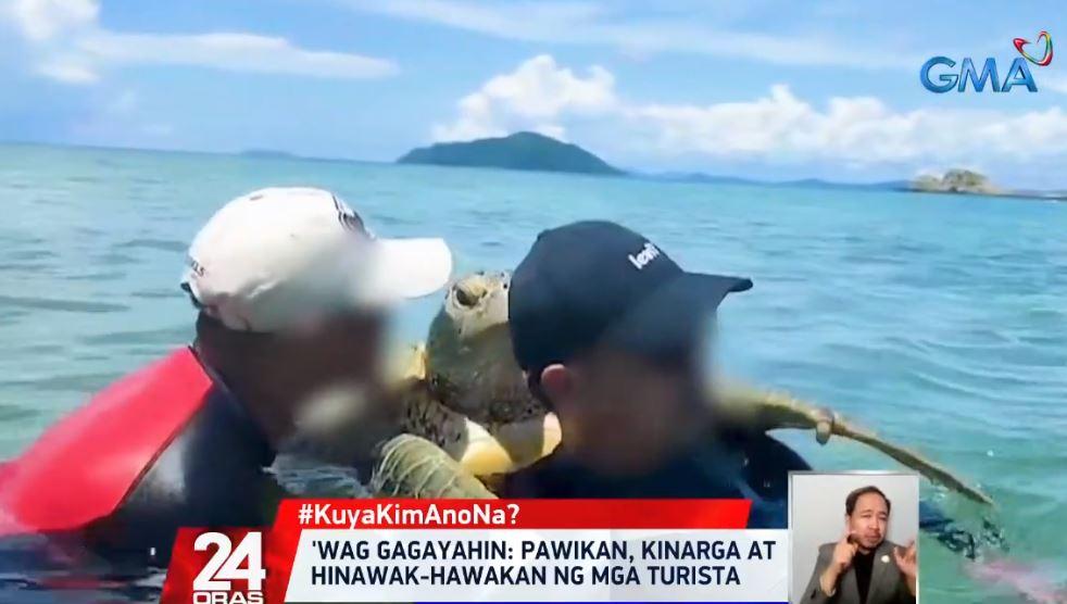 Tourists receive backlash, fine for holding, harming turtles in Palawan ...