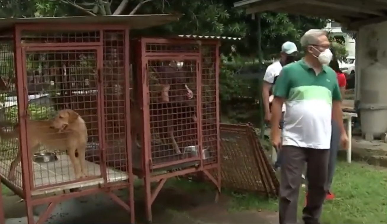 BuCor to deploy K-9 units at NBP following discovery of contraband ...