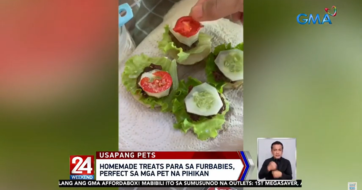 Do you have pihikan pets? Try these homemade treats for your doggos ...