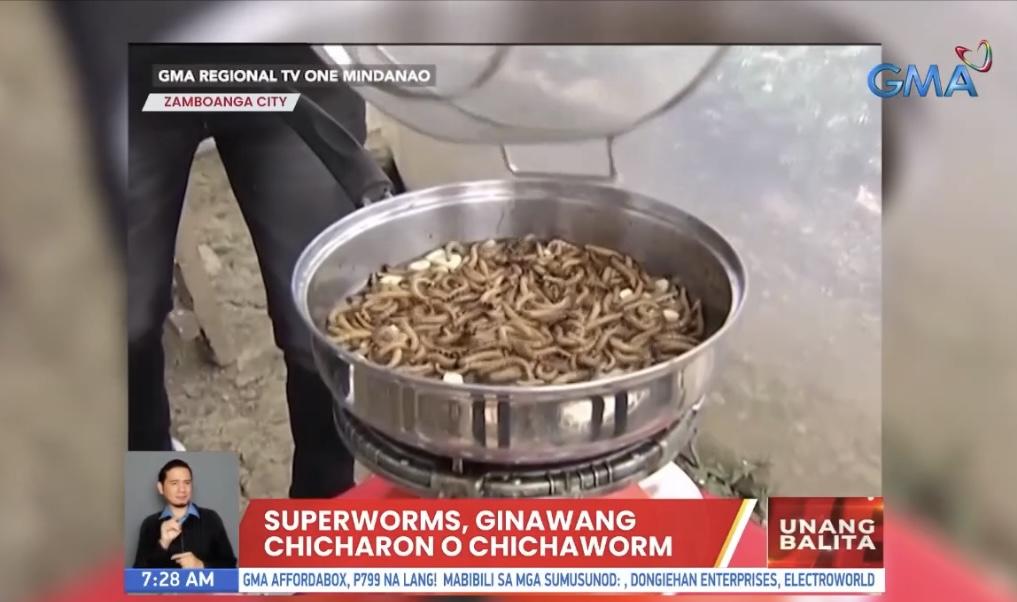 'Chichaworm' na gawa sa superworms, bagong specialty sa Zamboanga City ...