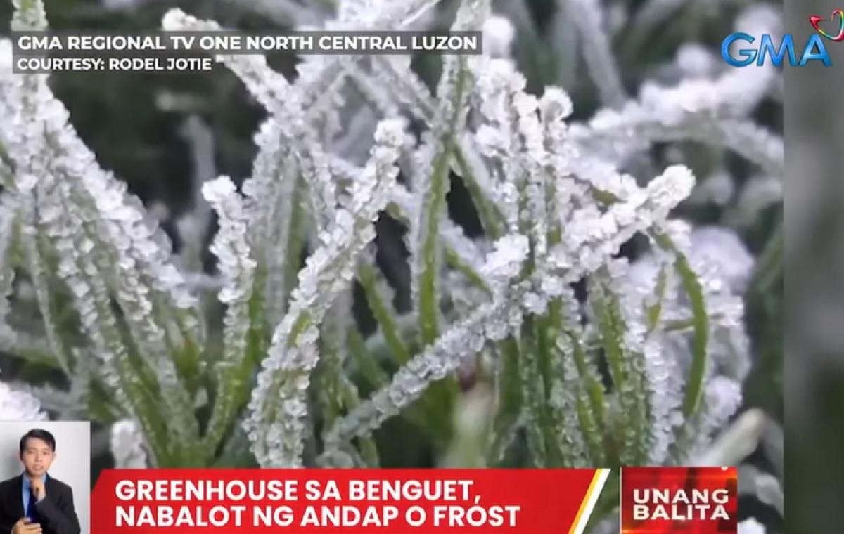 Greenhouse sa Benguet, nabalot ng andap o frost | Balitambayan