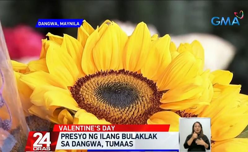 Flower prices increase as Valentine's Day nears | GMA News Online